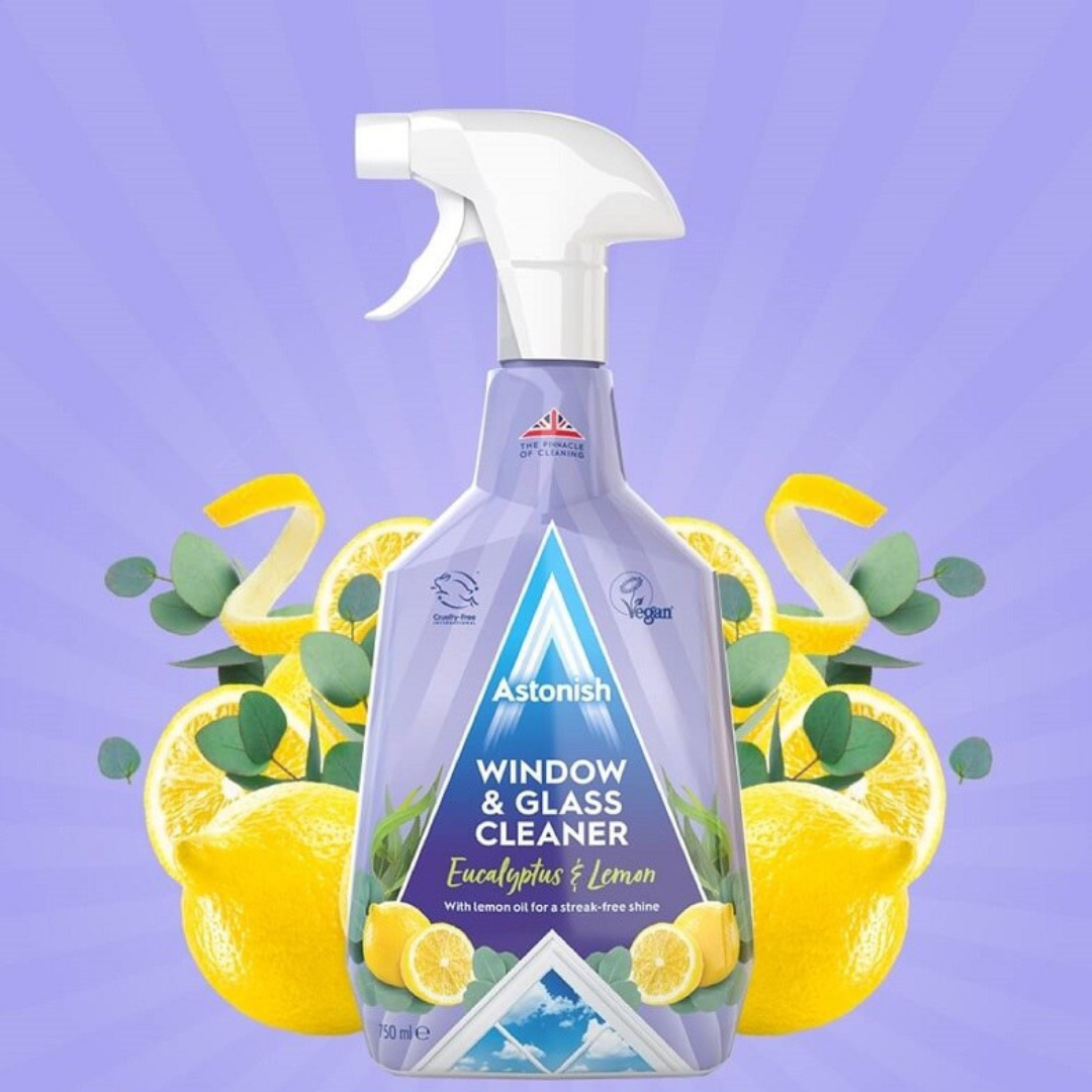 Window Cleaner 750ml by Astonish – MrPRICE.online