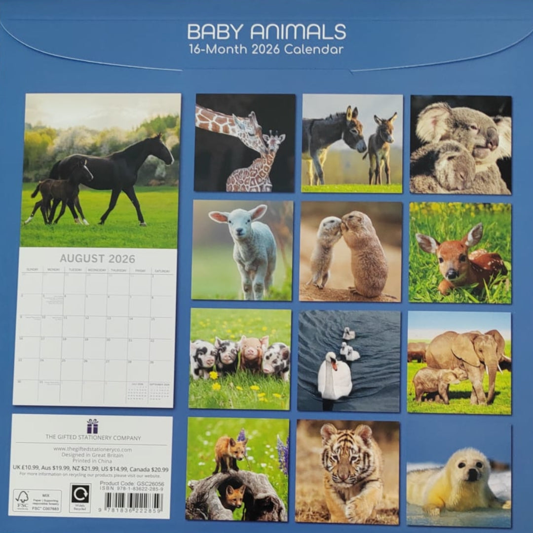 2026 Baby Animals Calendar – MrPRICE.online
